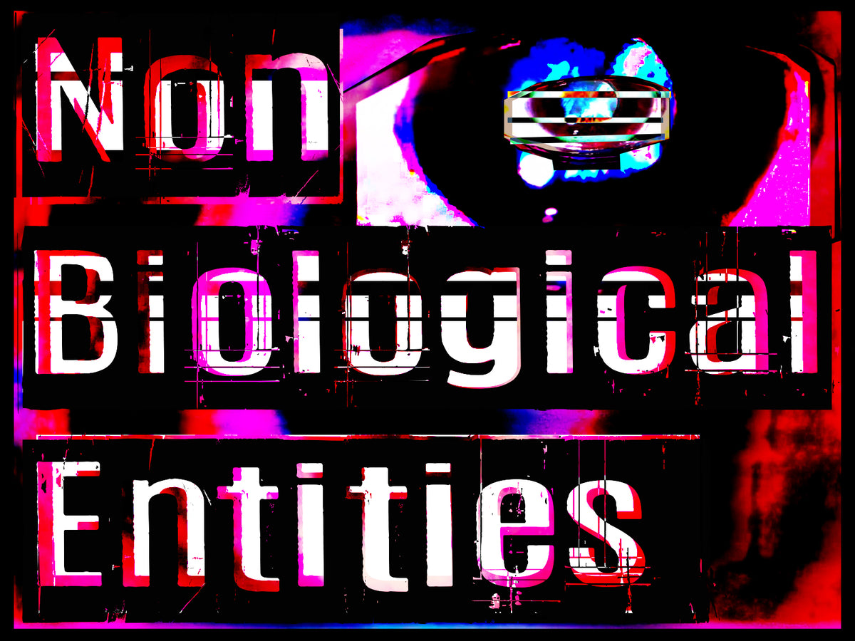 NON BIOLOGICAL ENTITIES – outsidersounddesign